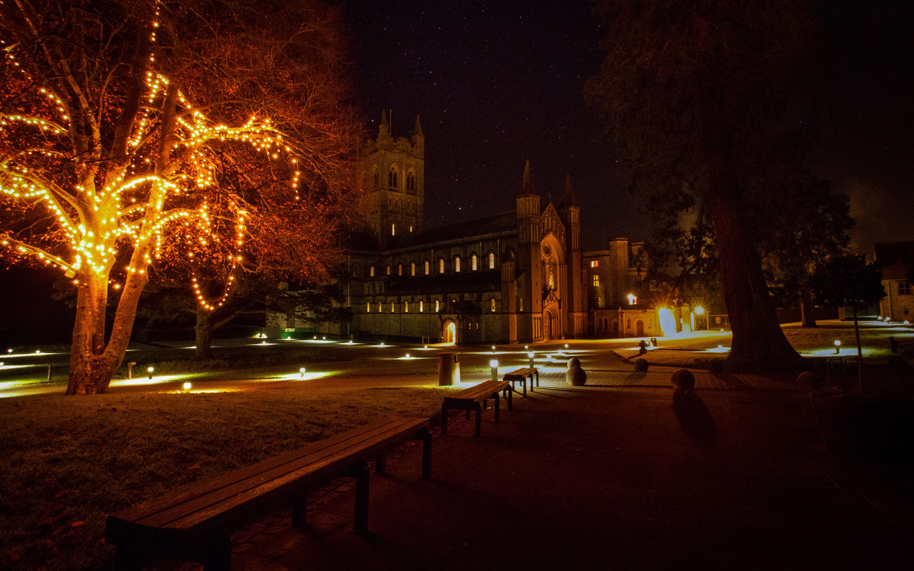 Revealed: Full details of Buckfast Abbey’s Magical Christmas Market ...
